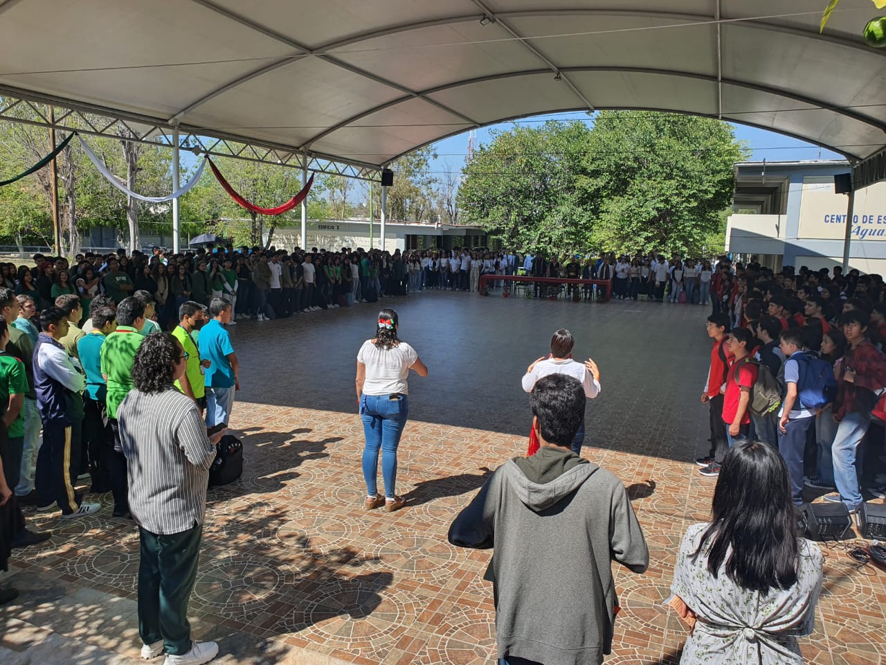 Actividades en los CEB